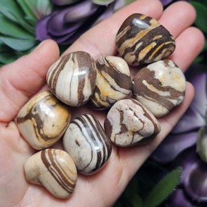 Red Zebra Jasper - Zebra Jasper Tumbled - Zebra Jasper Stone - Polished ...