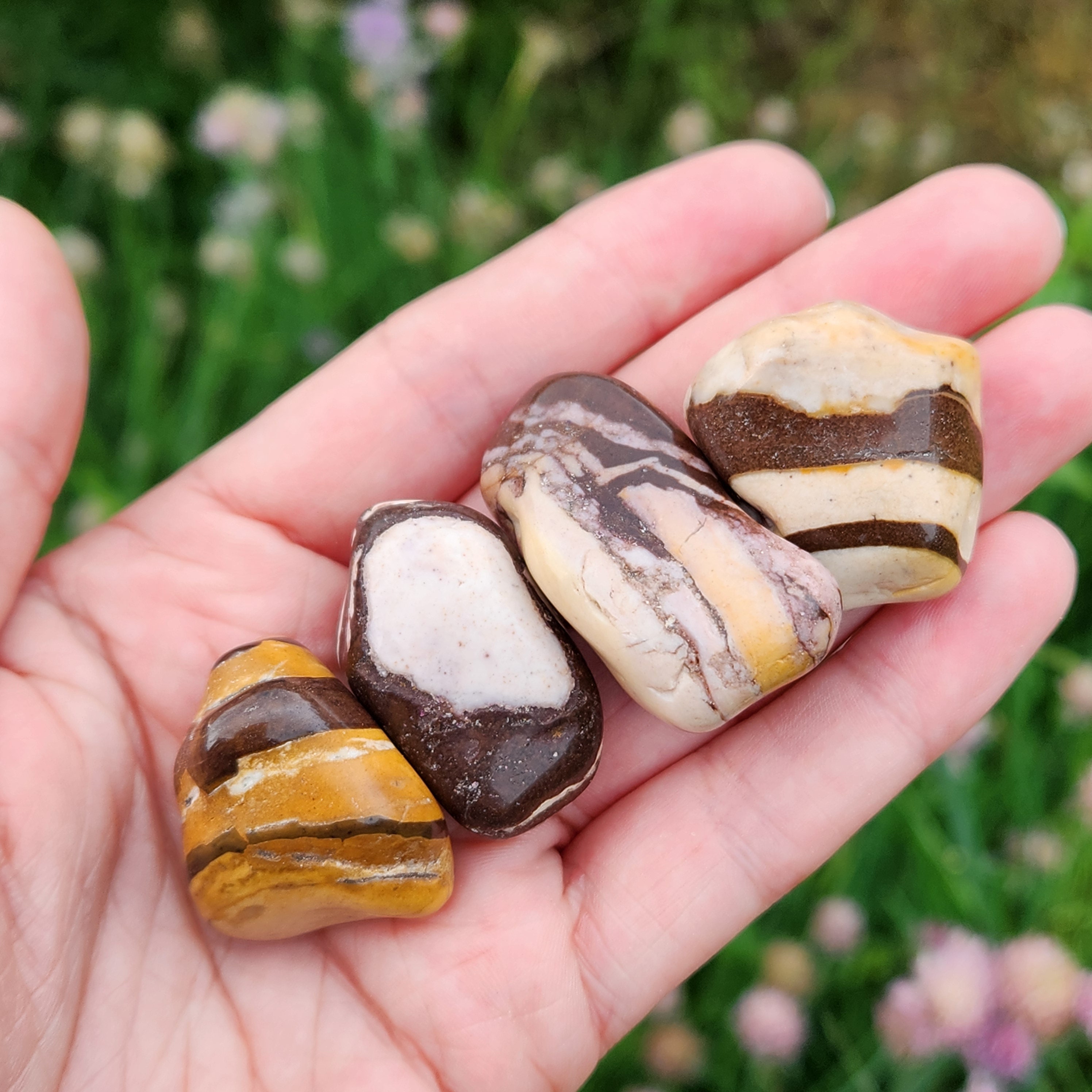 Red Zebra Jasper - Zebra Jasper Tumbled - Zebra Jasper Stone - Polished ...
