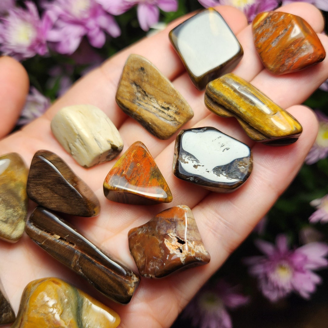 Petrified Wood - Petrified Wood Tumbled - Natural Petrified Wood - Wood ...