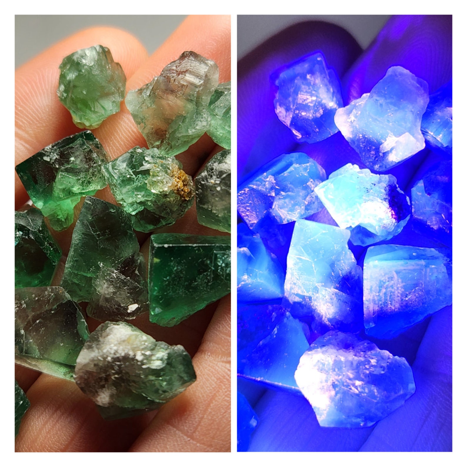 Fluorite Specimen: Color-changing UV Reactive Crystal From the Rogerly ...