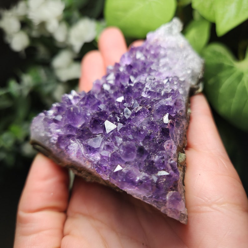 Raw Amethyst Cluster: Natural Crystal Specimen, Home Decor - Etsy