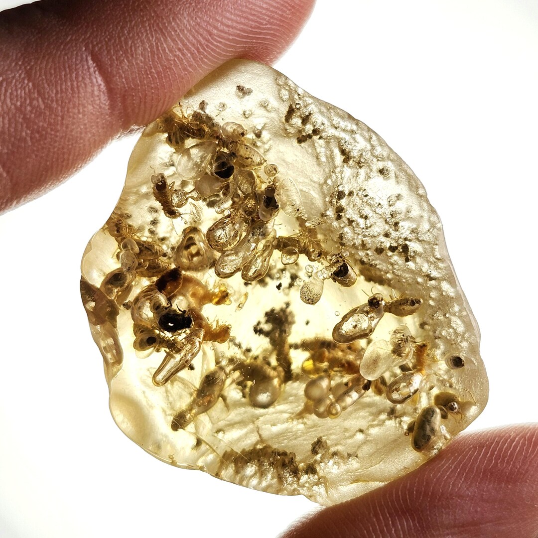Amber With Termites/bugs & Static ENHYDRO 10.4g - UV Reactive - Amber ...