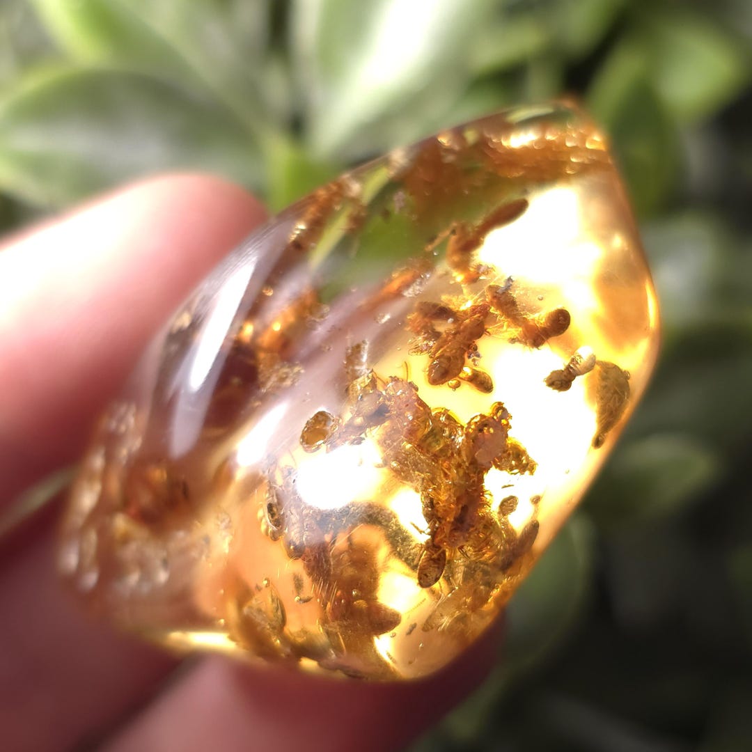 Amber With Bugs - 10.3g Amber - Amber Fossil - Natural Amber - Amber ...