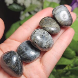 Anorthosite Crystal - Anorthosite Tumble - Anorthosite Tumbled ...
