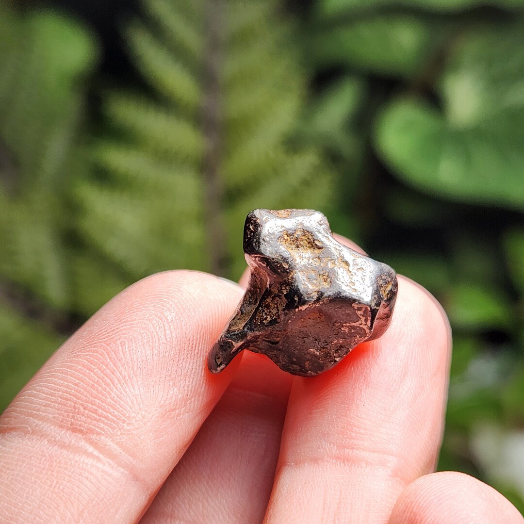 Authentic Meteorite / Sericho Pallasite / Genuine Meteorite / Meteorite ...