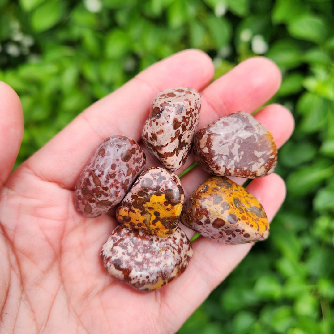 Leopard Skin Jasper - Leopard Stone - Rhyolite Jasper - Leopard Skin ...