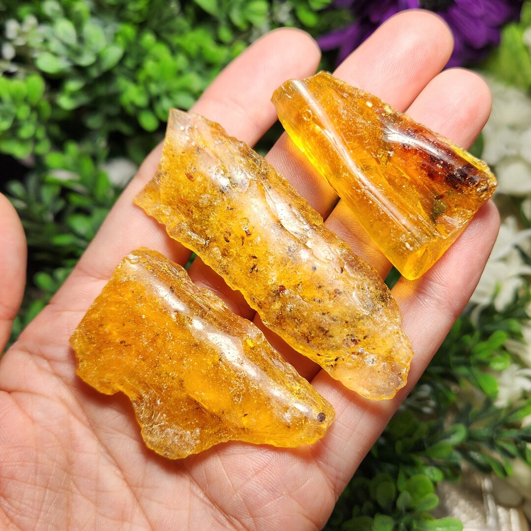 Amber With Insects - Natural Amber - Amber Wand - Amber With Bug ...