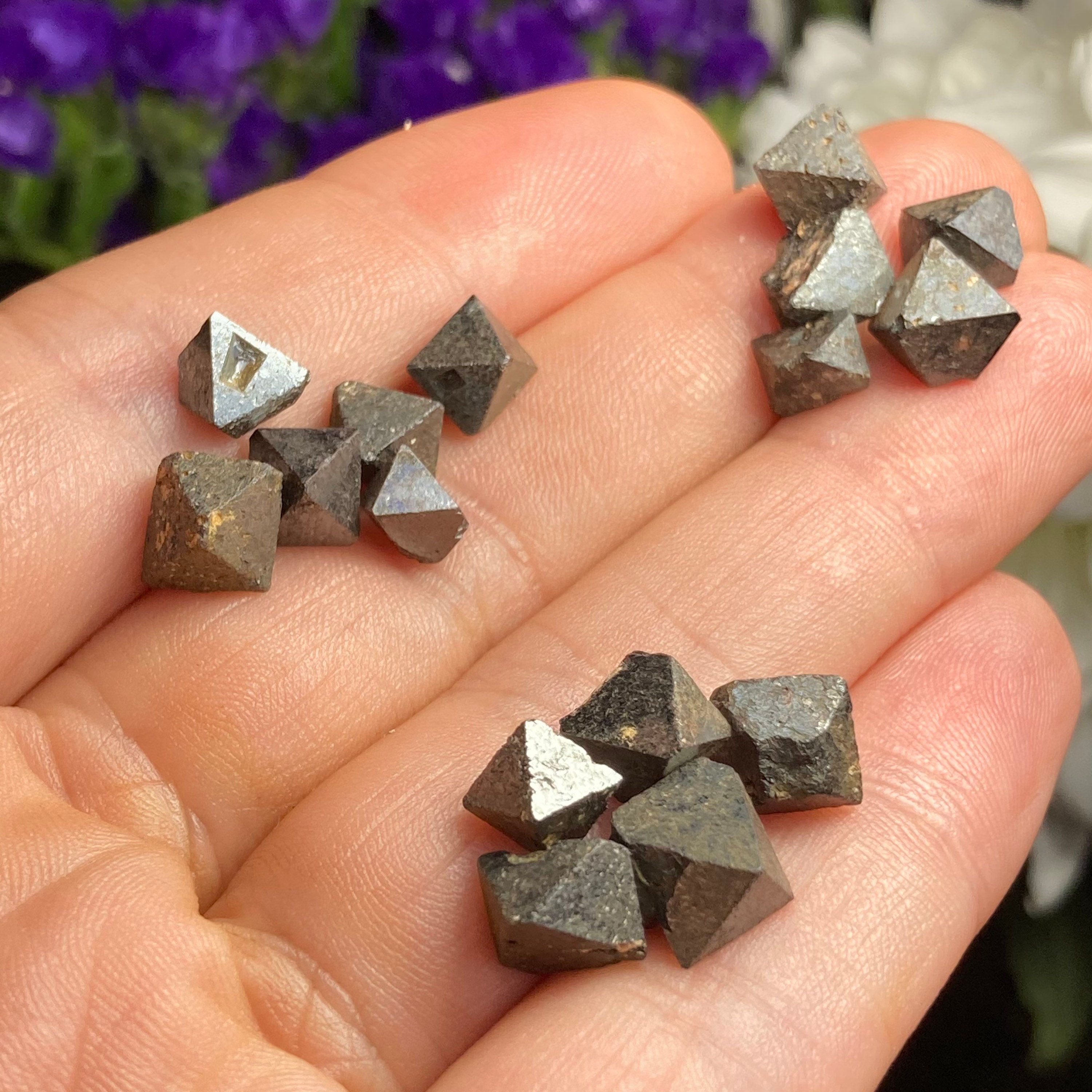 Raw Magnetite Crystals (set of 5) - Magnetite Stones - Etsy