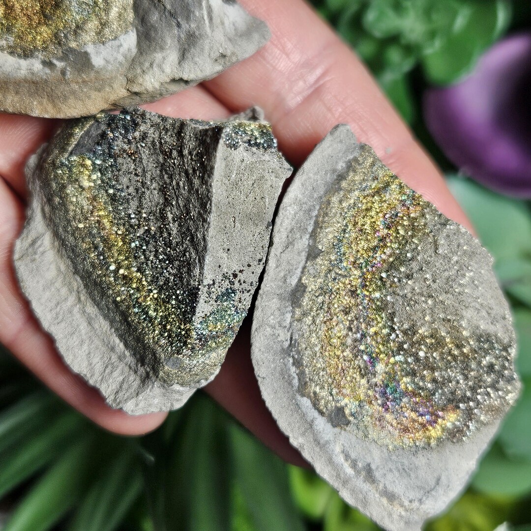 Rainbow Pyrite Specimen - Pyrite Crystal - Fools Gold - Pyrite Stone ...