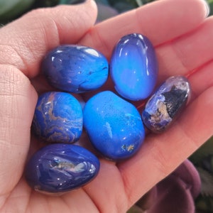 Blue Amber Specimen: UV Reactive Tumbled Stone, Polished Amber - Etsy