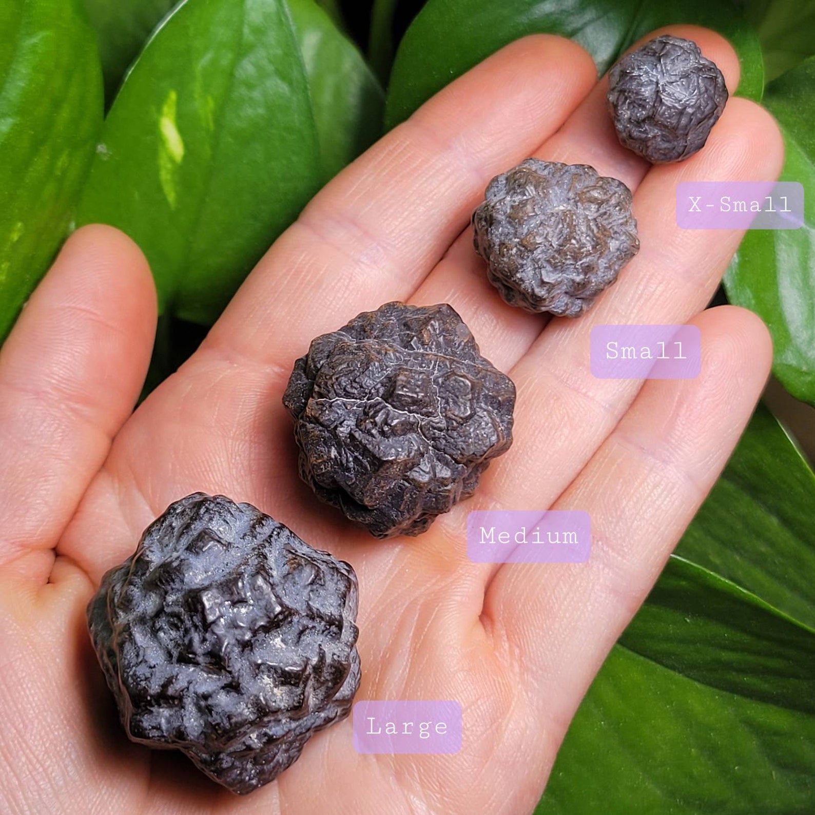 Prophecy Stone / Prophecy Stone Egypt / Prophecy Hematite / - Etsy