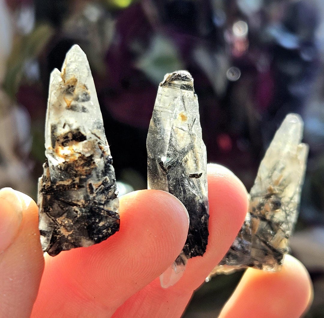 Black Samadhi Himalayan Quartz - Samadhi Quartz Himalaya - Black ...