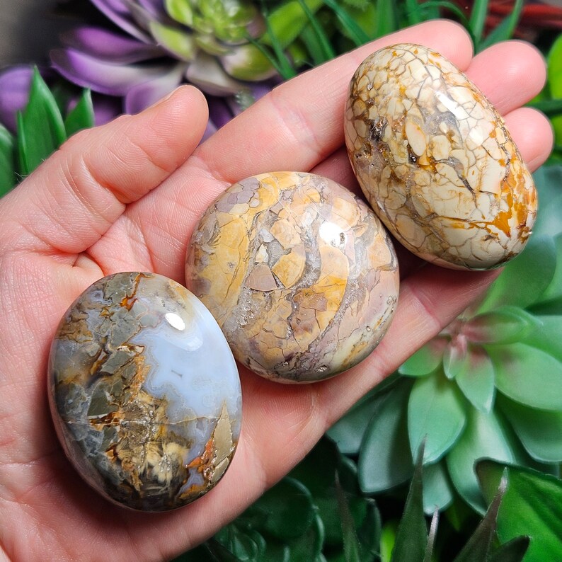 Ibis Jasper Crystal, Polished Ibis Jasper Palm Stone - Etsy