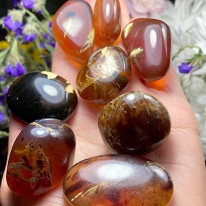 Blue Amber Specimen: UV Reactive Tumbled Stone, Polished Amber - Etsy