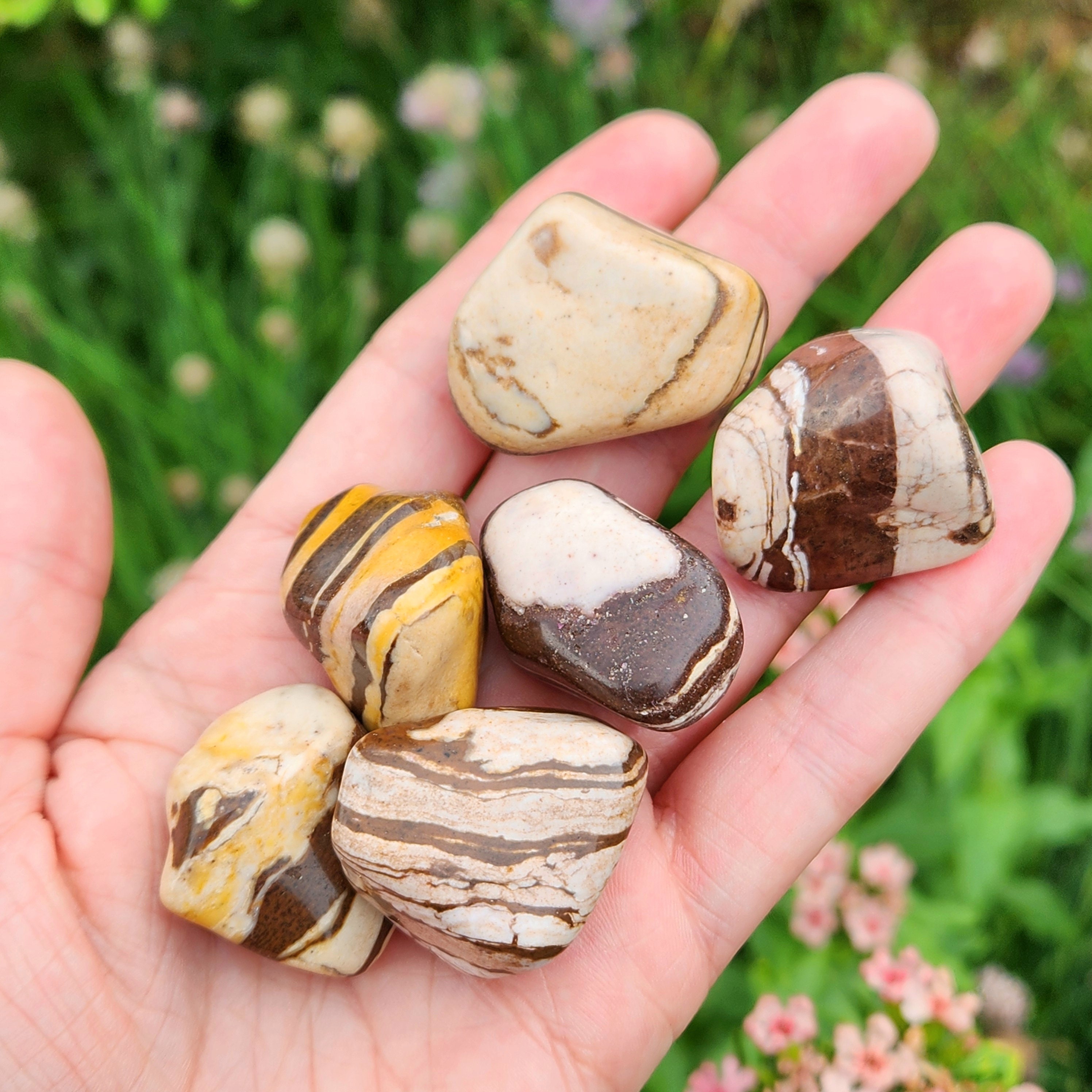 Red Zebra Jasper - Zebra Jasper Tumbled - Zebra Jasper Stone - Polished ...