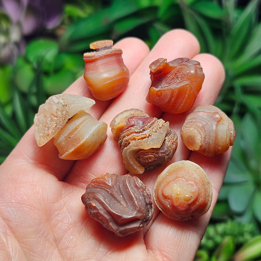 Gobi Spiral Agate - RARE Gobi Agate - Gobi Eye Agate - Gobi Agate Eye ...