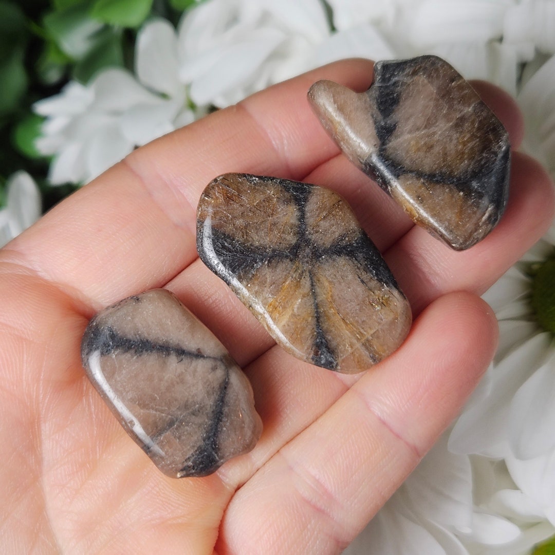 Chiastolite Crystal / Andalusite Crystal / Cross Stone / Andalusite ...