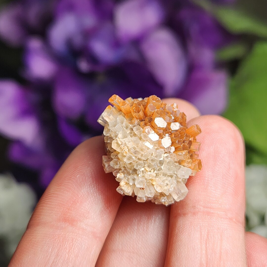 Bi-color Aragonite Star Cluster Specimen: Moroccan Starburst Crystal - Etsy