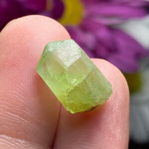 Terminated Peridot Crystal / Raw Peridot / Green Peridot Stone ...