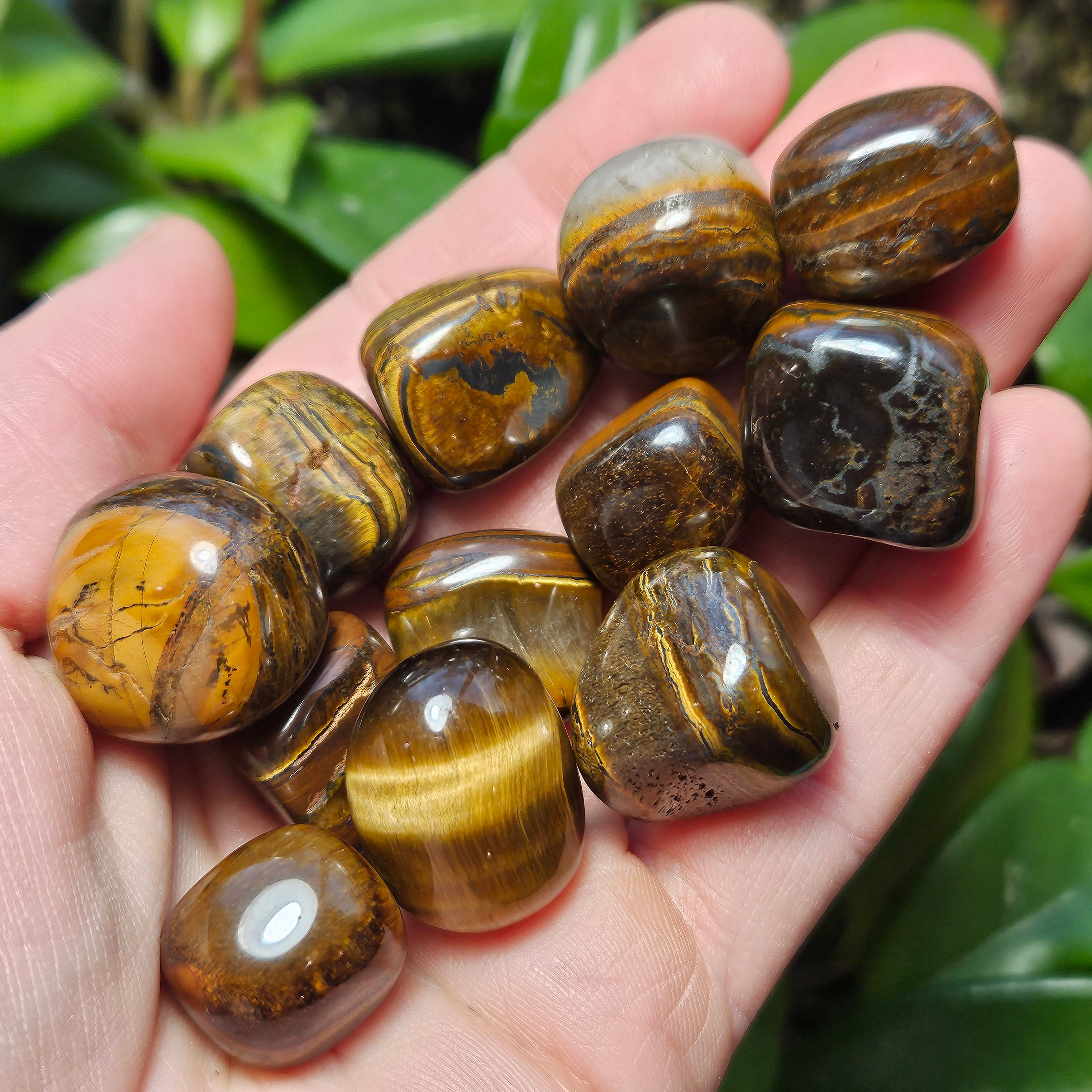 Tiger Iron - Tiger Iron Stone - Tigers Eye - Hematite Crystal - Tumbled ...