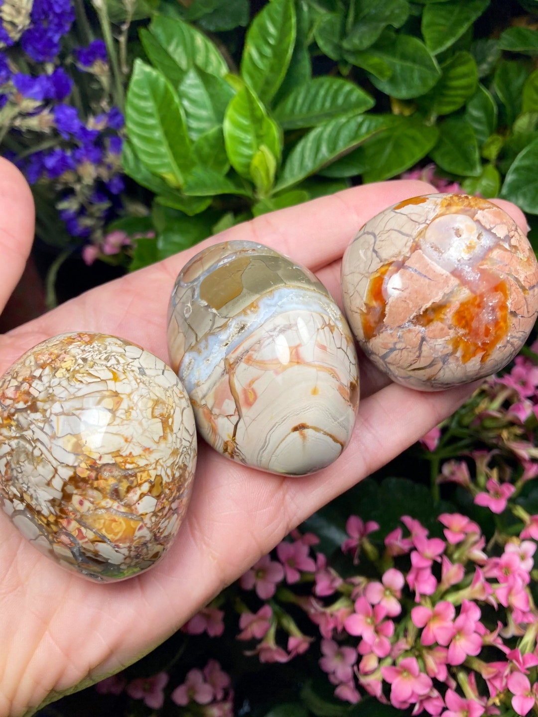 Ibis Jasper Crystal / Polished Ibis Jasper / Ibis Jasper Palm Stone ...