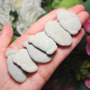 Fairy Stone - Goddess Stone - Fairy Stone Concretion - Fairy Stones ...
