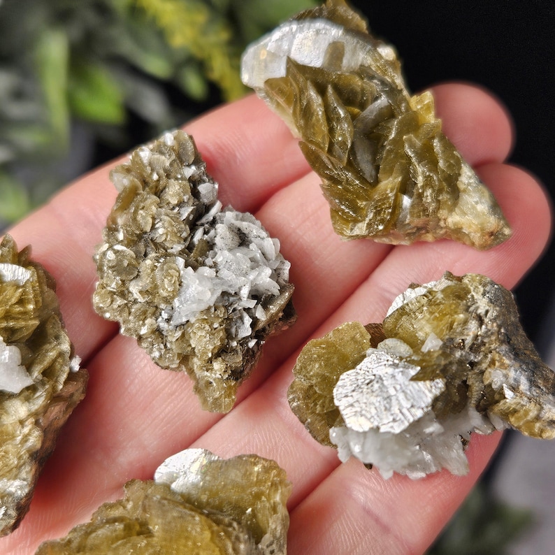 Golden Siderite Specimen, Siderite Crystal Cluster - Bladed Siderite - Etsy