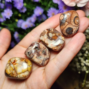Amulet Stone - Bird's Eye Rhyolite Crystal - Tumbled Rhyolite - Birds ...