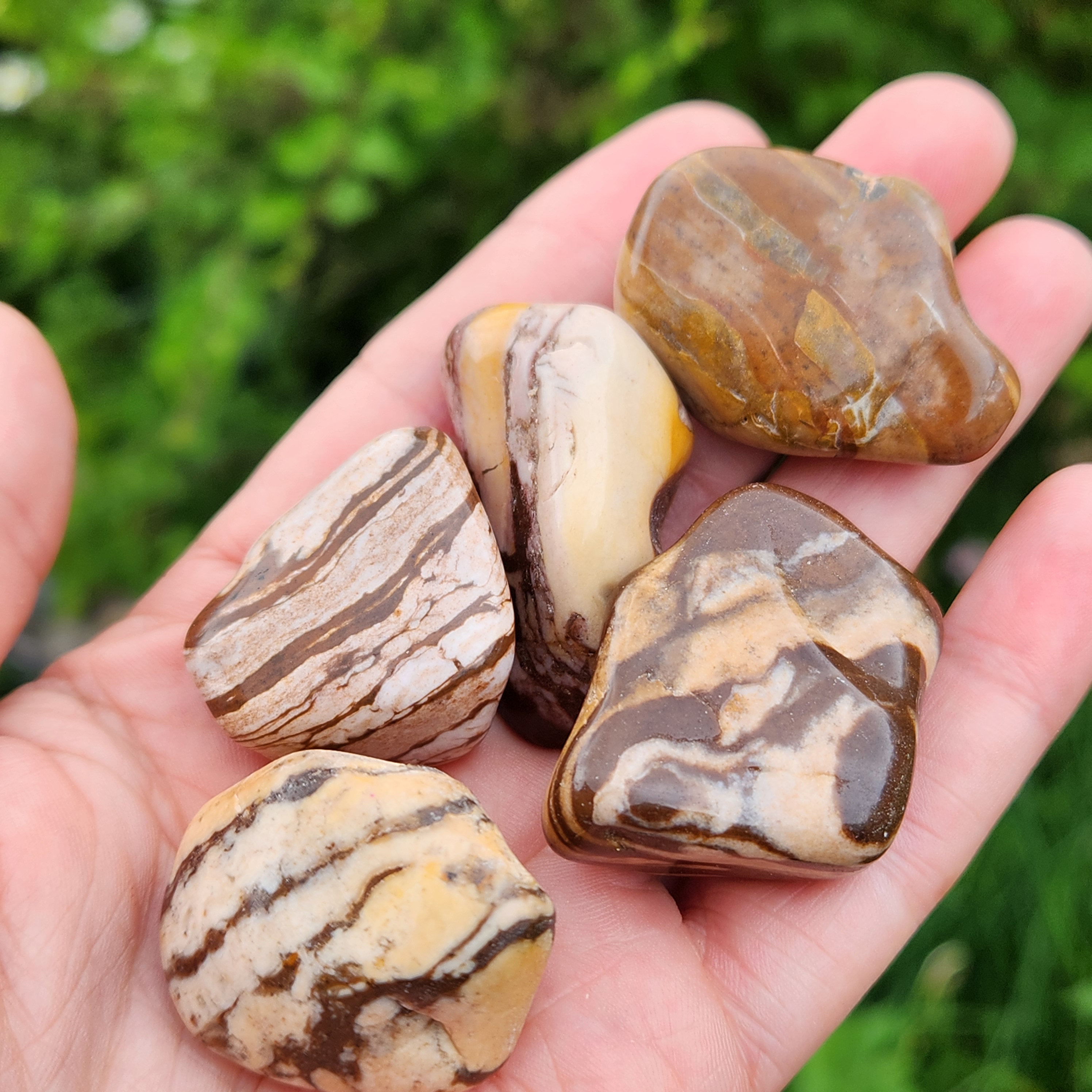 Red Zebra Jasper - Zebra Jasper Tumbled - Zebra Jasper Stone - Polished ...