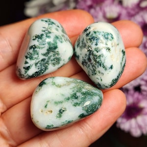 Tree Agate Crystal - Tumbled Tree Agate - Tree Agate Stone - Polished Tree Agate - Tumbled ...