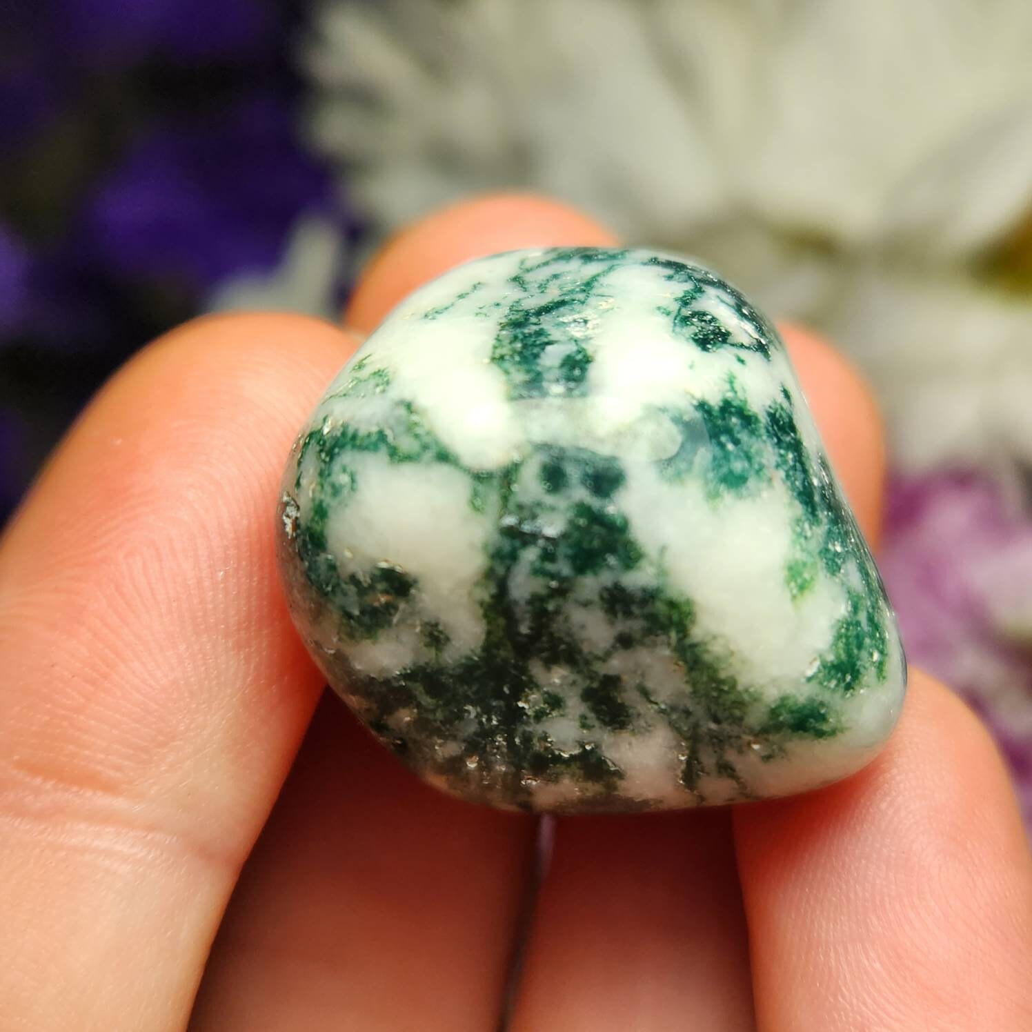 Tree Agate Crystal - Tumbled Tree Agate - Tree Agate Stone - Polished ...