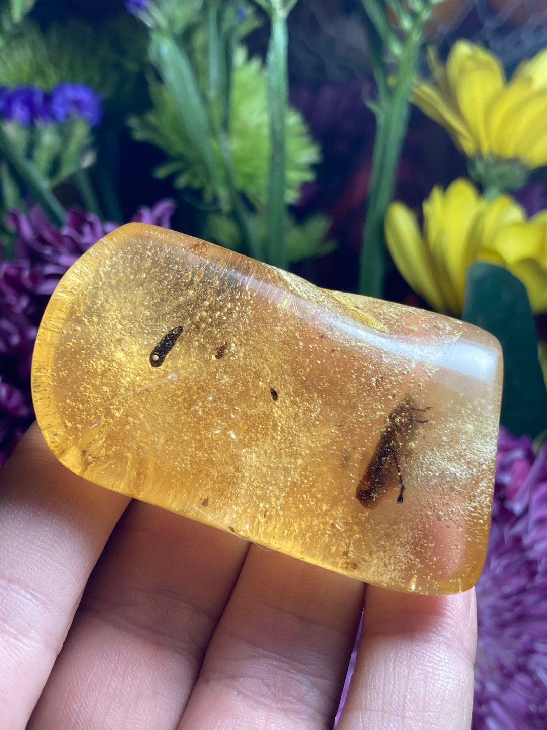 Amber With Bugs / Natural Amber / Amber With Insect / Insect Inclusion ...