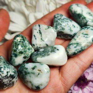 Tree Agate Crystal - Tumbled Tree Agate - Tree Agate Stone - Polished Tree Agate - Tumbled ...
