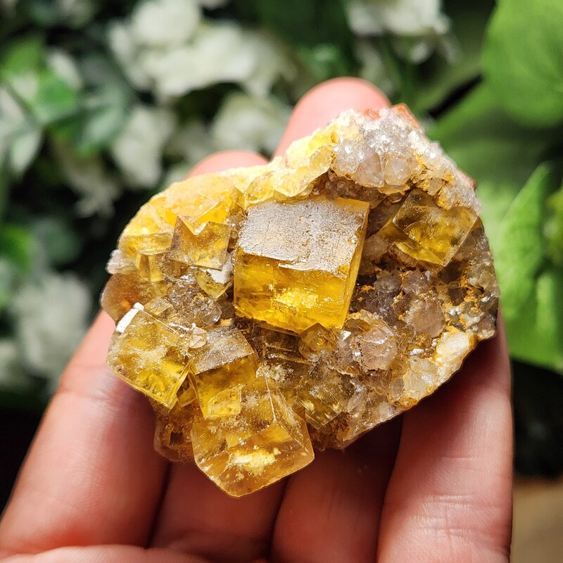 Yellow Fluorite - Etsy