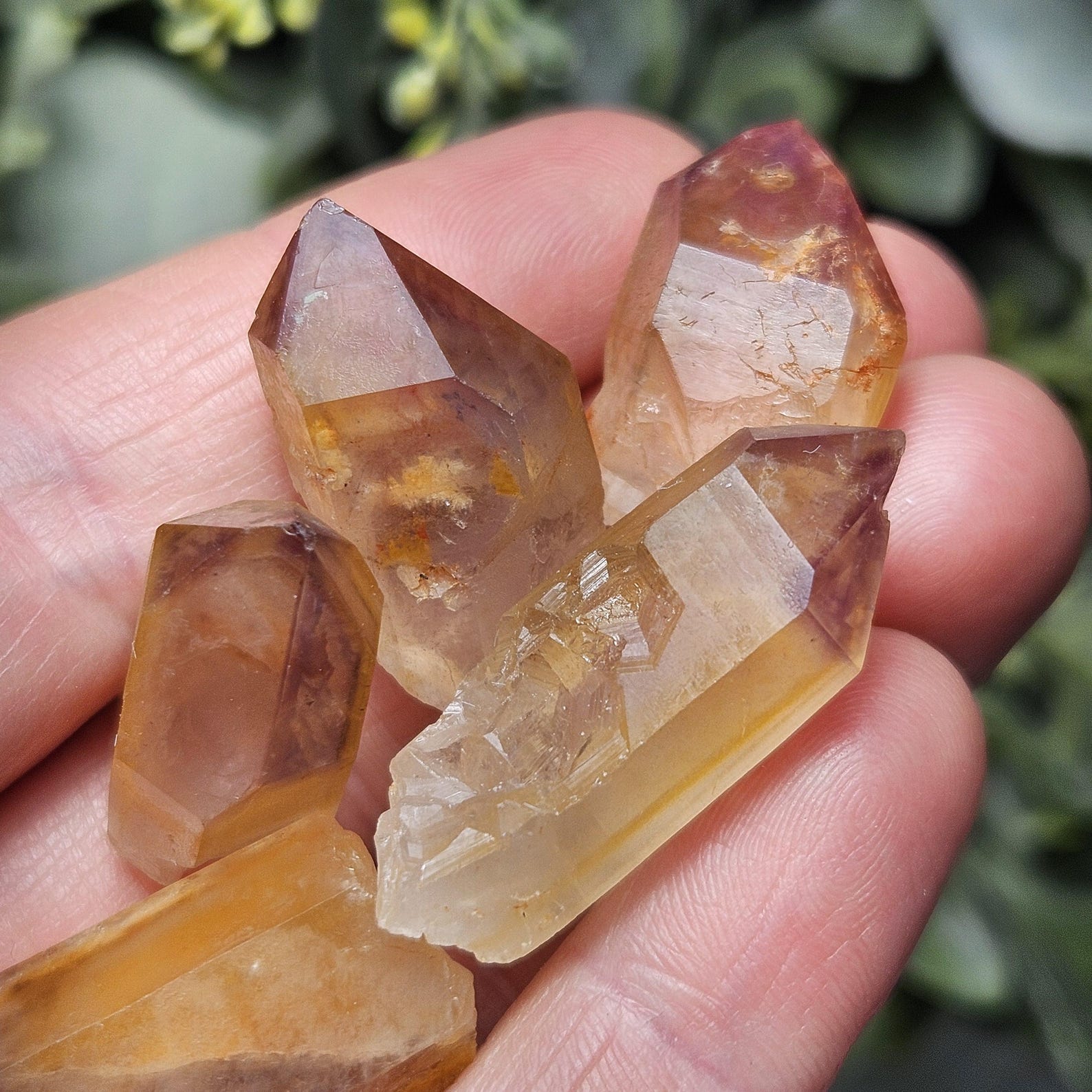 Trapiche Gold Amethyst Quartz - Ametrine Trapiche - Phantom Crystal ...