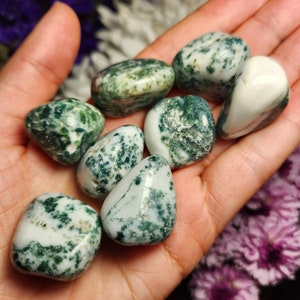 Tree Agate Crystal - Tumbled Tree Agate - Tree Agate Stone - Polished Tree Agate - Tumbled ...