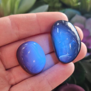 Blue Amber Specimen: UV Reactive Tumbled Stone, Polished Amber - Etsy