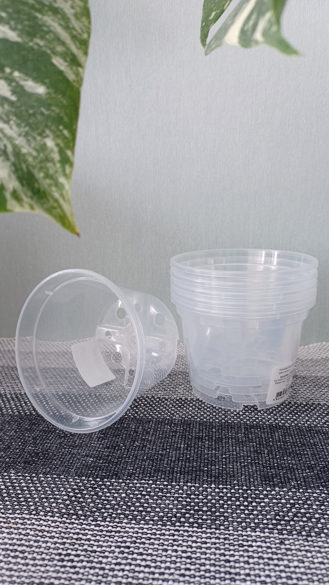 Clear Plastic Plant Pots for Propagation & DIY Gardening (11 Cm ...