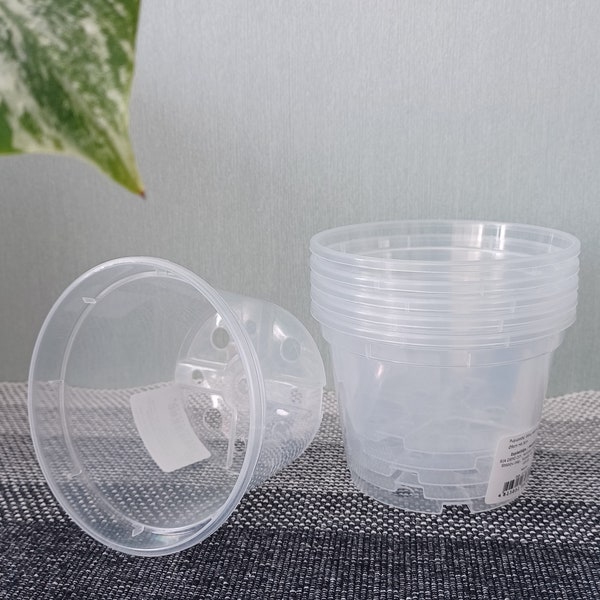 Transparent Planter - Etsy