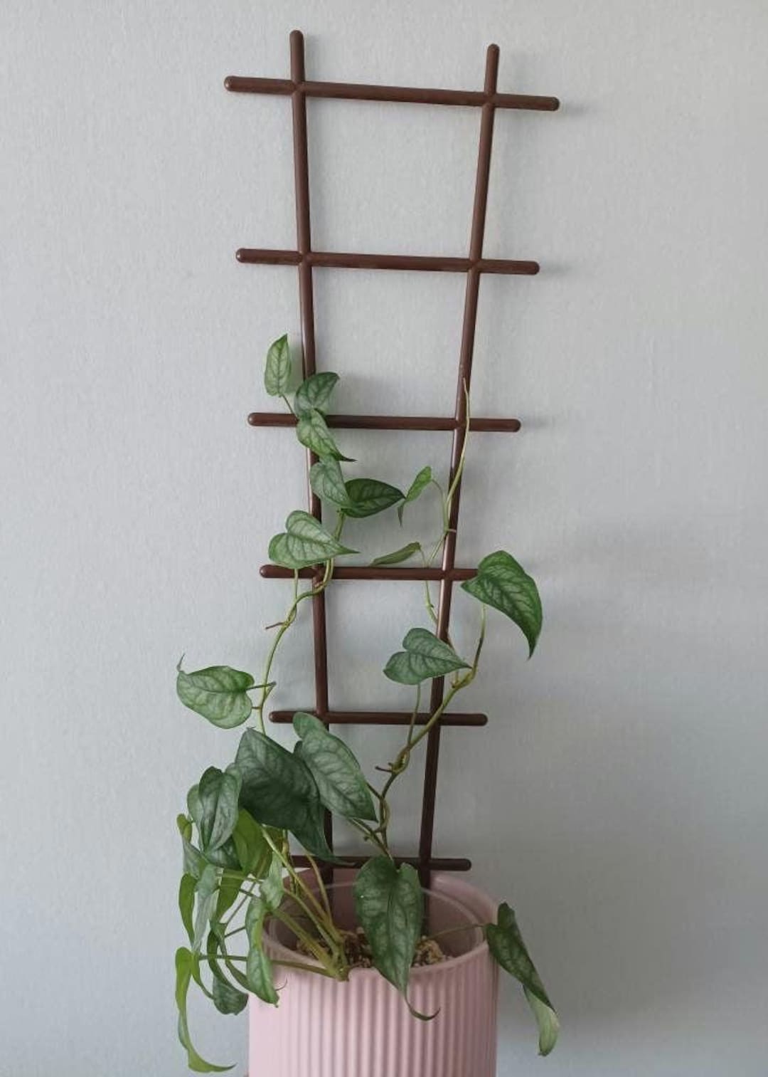 Set of Two Houselant Climbing Supports, Climbing Trellis, Climbing ...