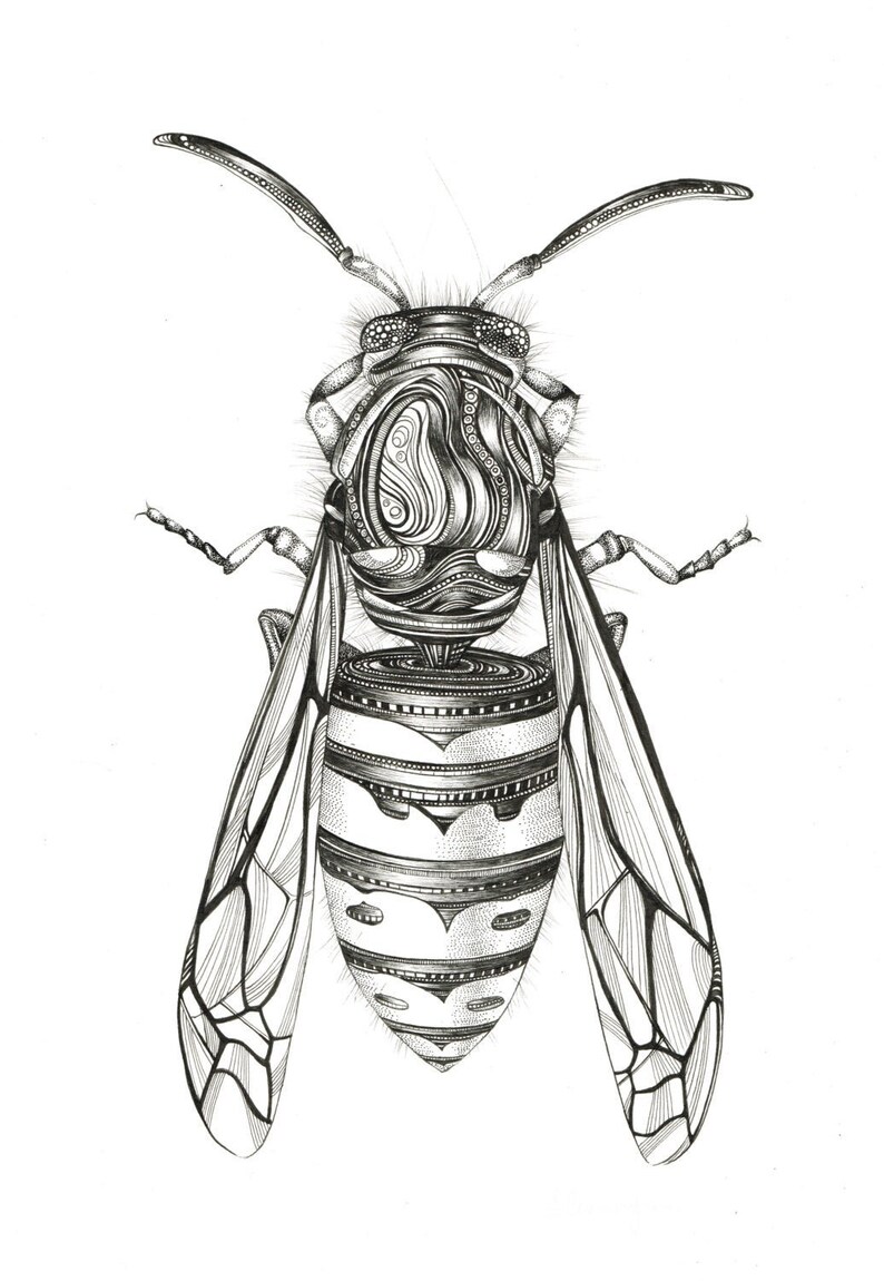 Waspish Fine Art Print - Etsy