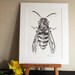 Waspish Fine Art Print - Etsy