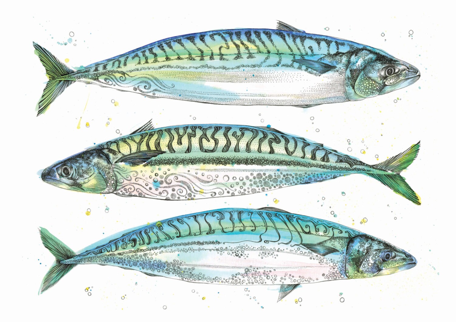 Triple Fish Limited Edition Art Print - Etsy