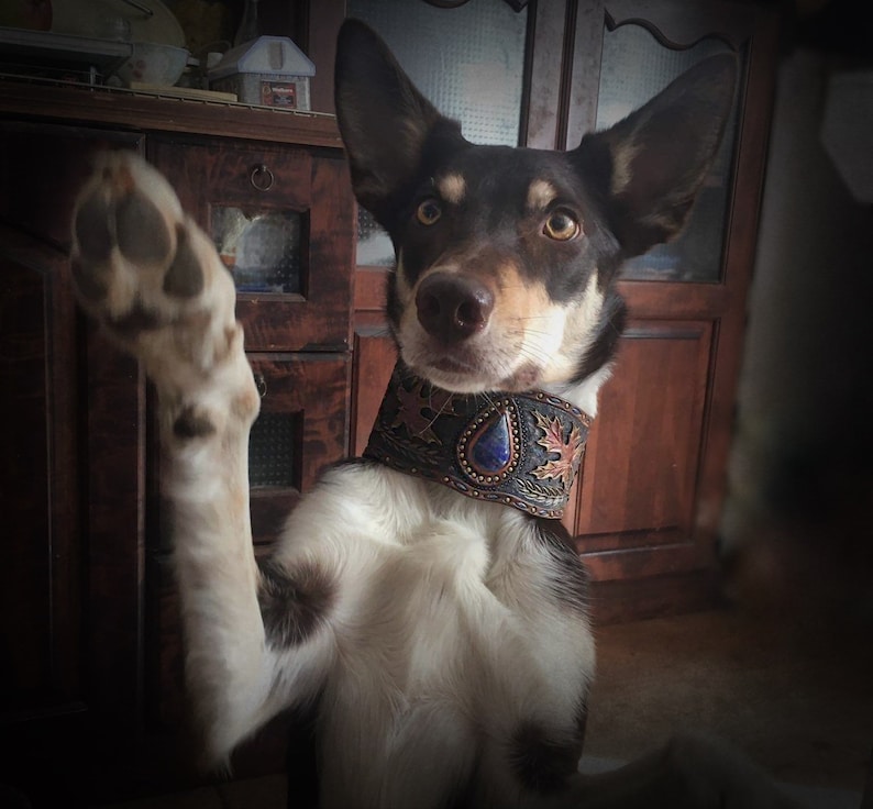 Hand Tooled and Hand Painted Leather Dog Collar With Maple - Etsy