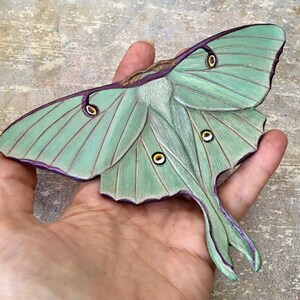 Tooled Leather Luna Moth Shawl Pin or Ponytail Cuff With Stick ...