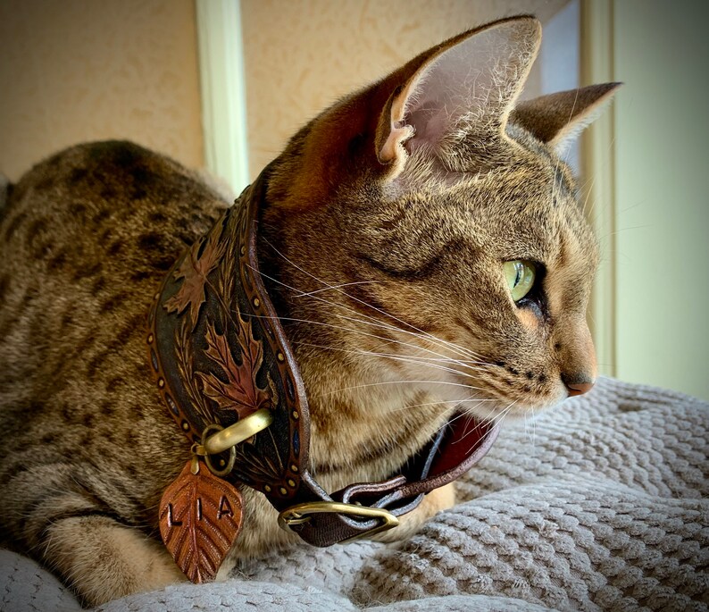 Hand Tooled and Hand Painted Leather Dog Collar With Maple - Etsy