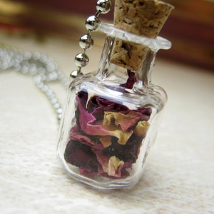 Red Roses in a Vial - Dried Rose Petals Glass Bottle Necklace Charm ...