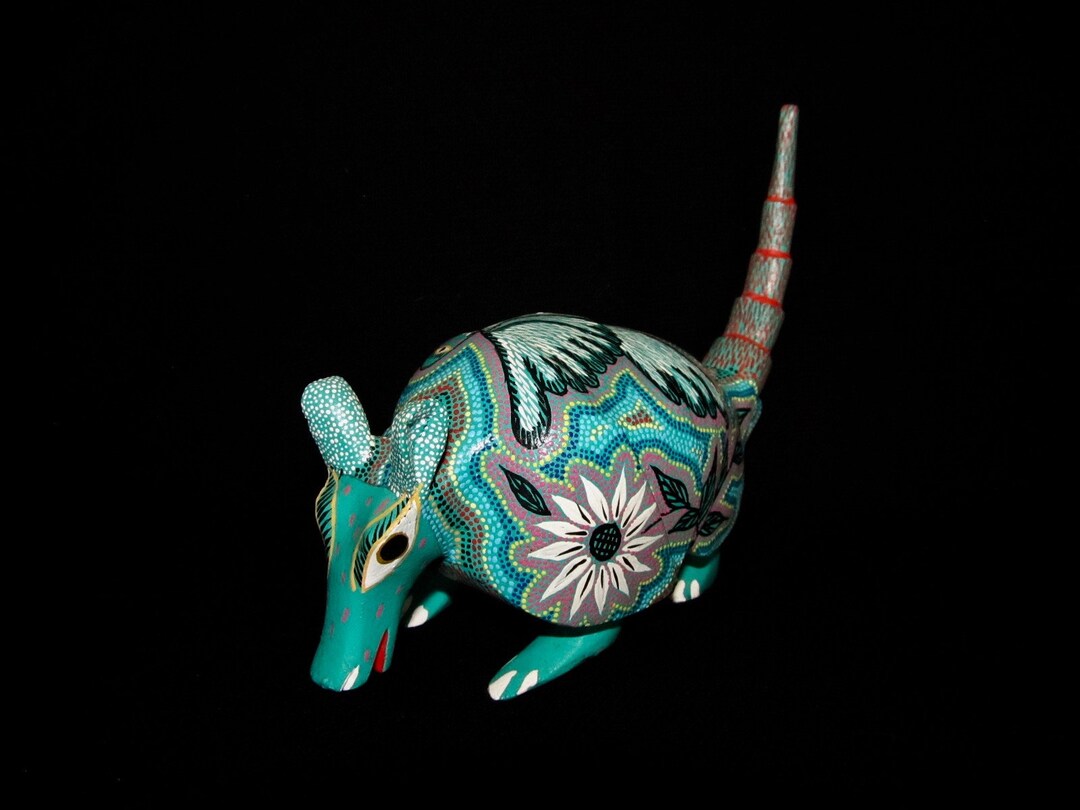 Armadillo With Dove and Flowers by Armando Carrillo - Etsy