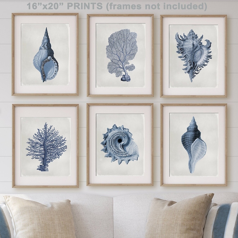 Shell Art Print - Etsy