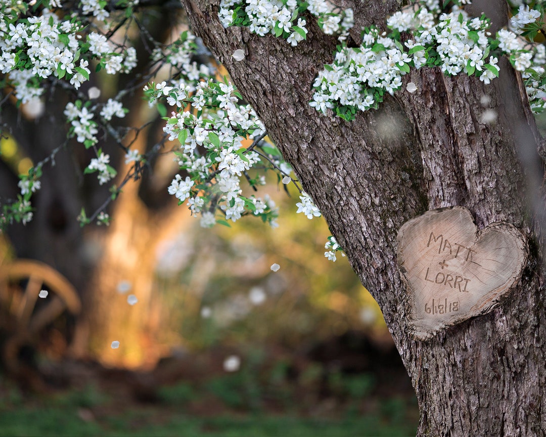 Personalized Wedding Tree Print, Rustic Farmhouse Anniversary Gift - Etsy